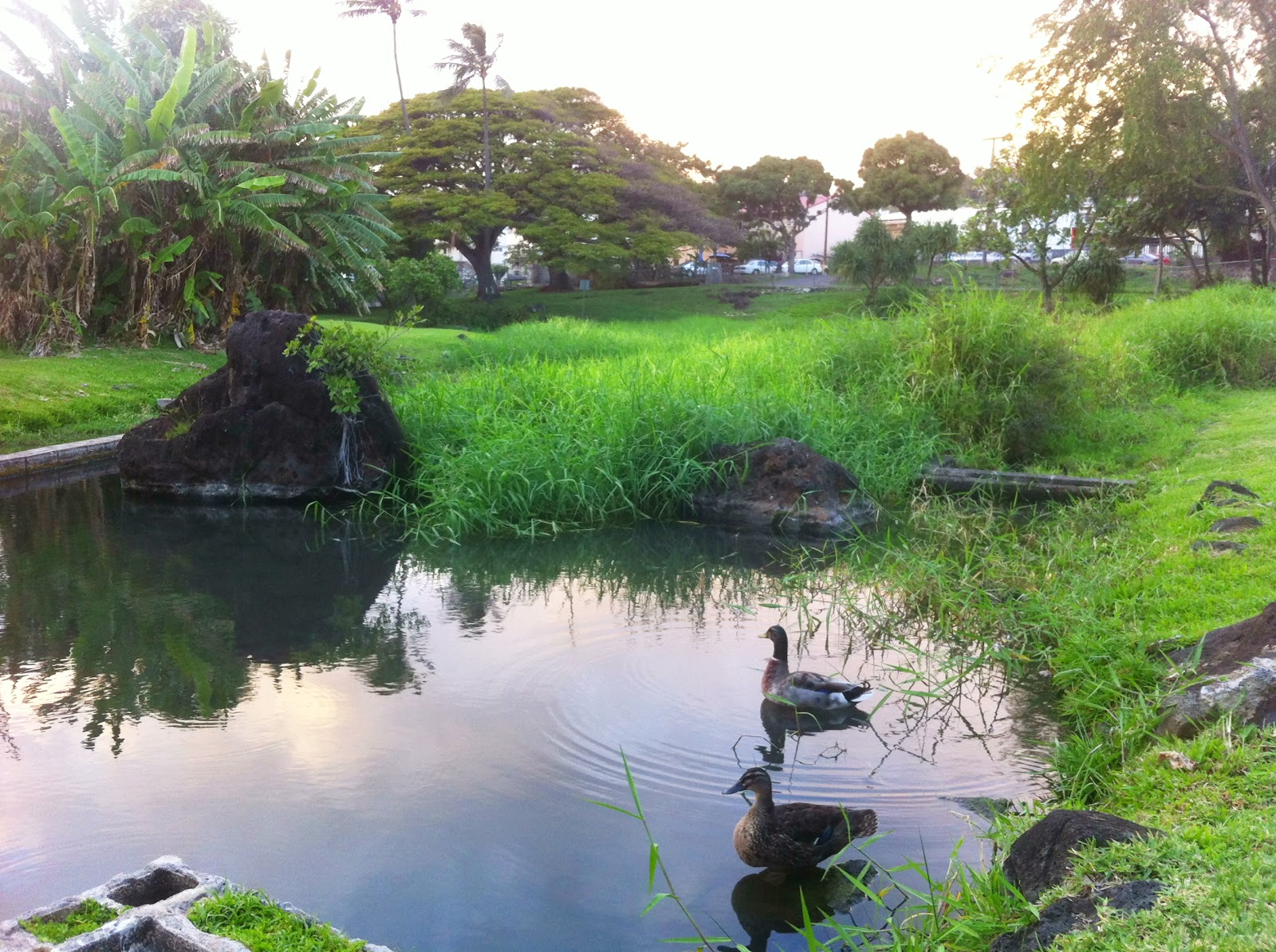 Pohukaina Cave: Kapalama